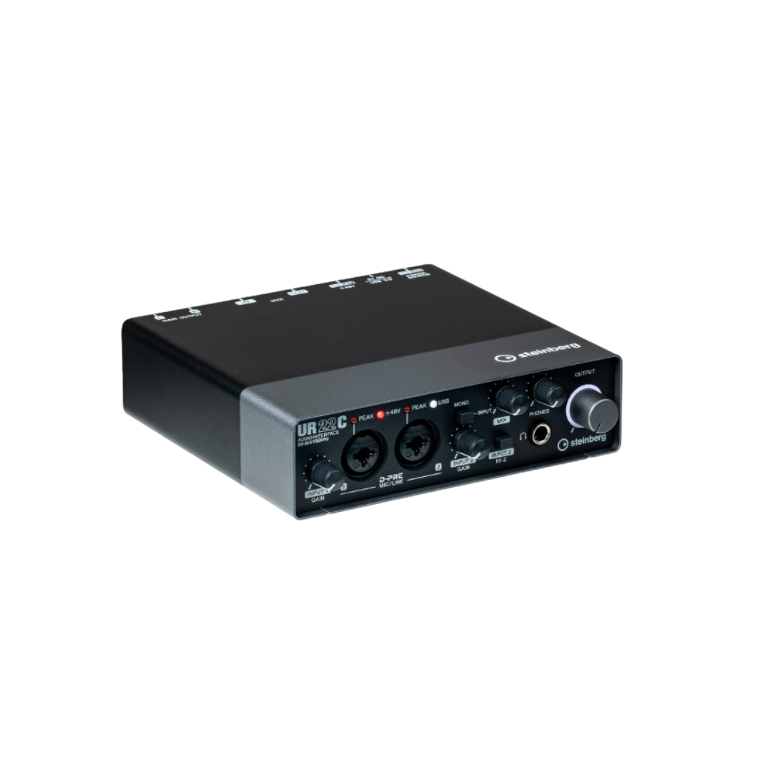 Dante by Audinate AVIO 1 Channel Analog Input Adapter – Yupangco ...